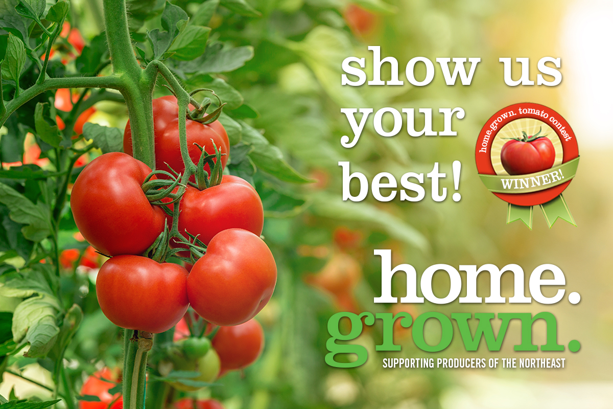 The home.grown. Tomato Face-off! - Price Chopper - Market 32