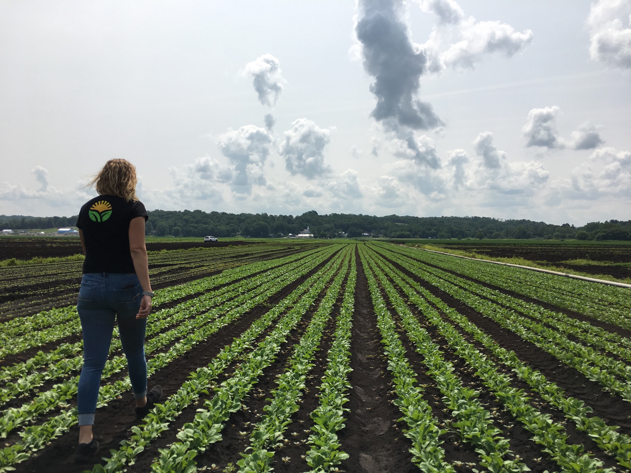 The Black Dirt Region: New York's Coolest Agricultural Region - Price ...