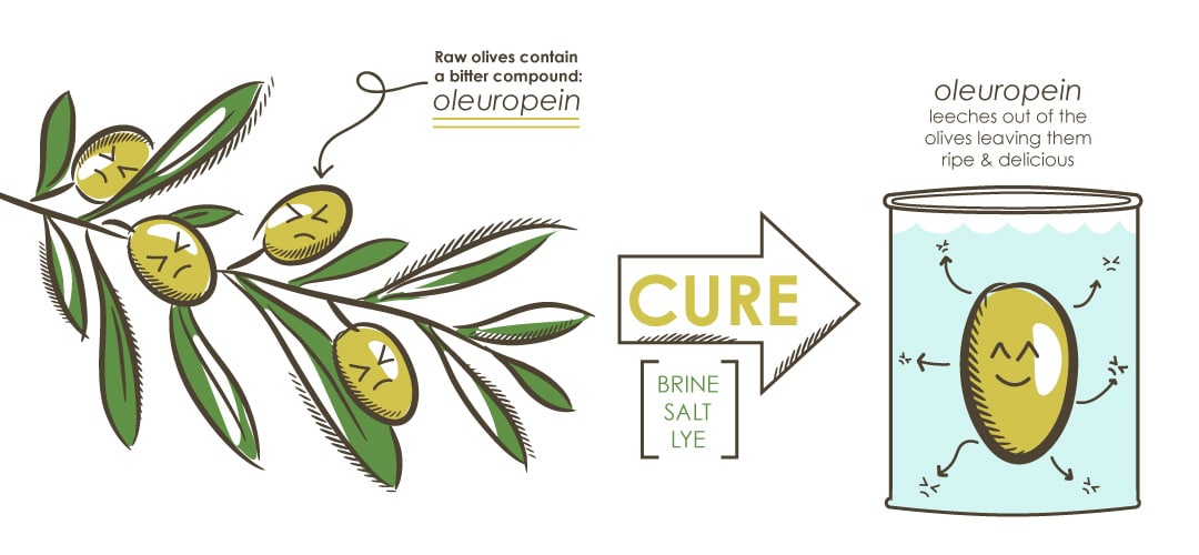 An Ode to Olives - Price Chopper - Market 32