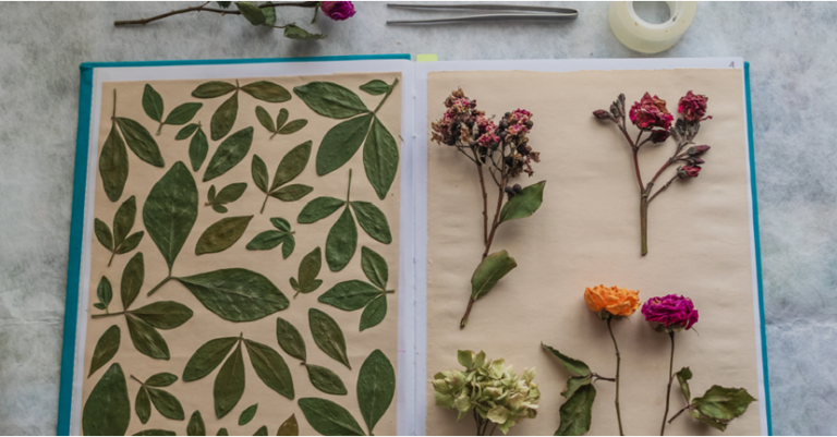Create a Beautiful Pressed Creation! - Price Chopper - Market 32
