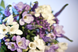 Flower Delivery & Florist Shops Near You | Price Chopper