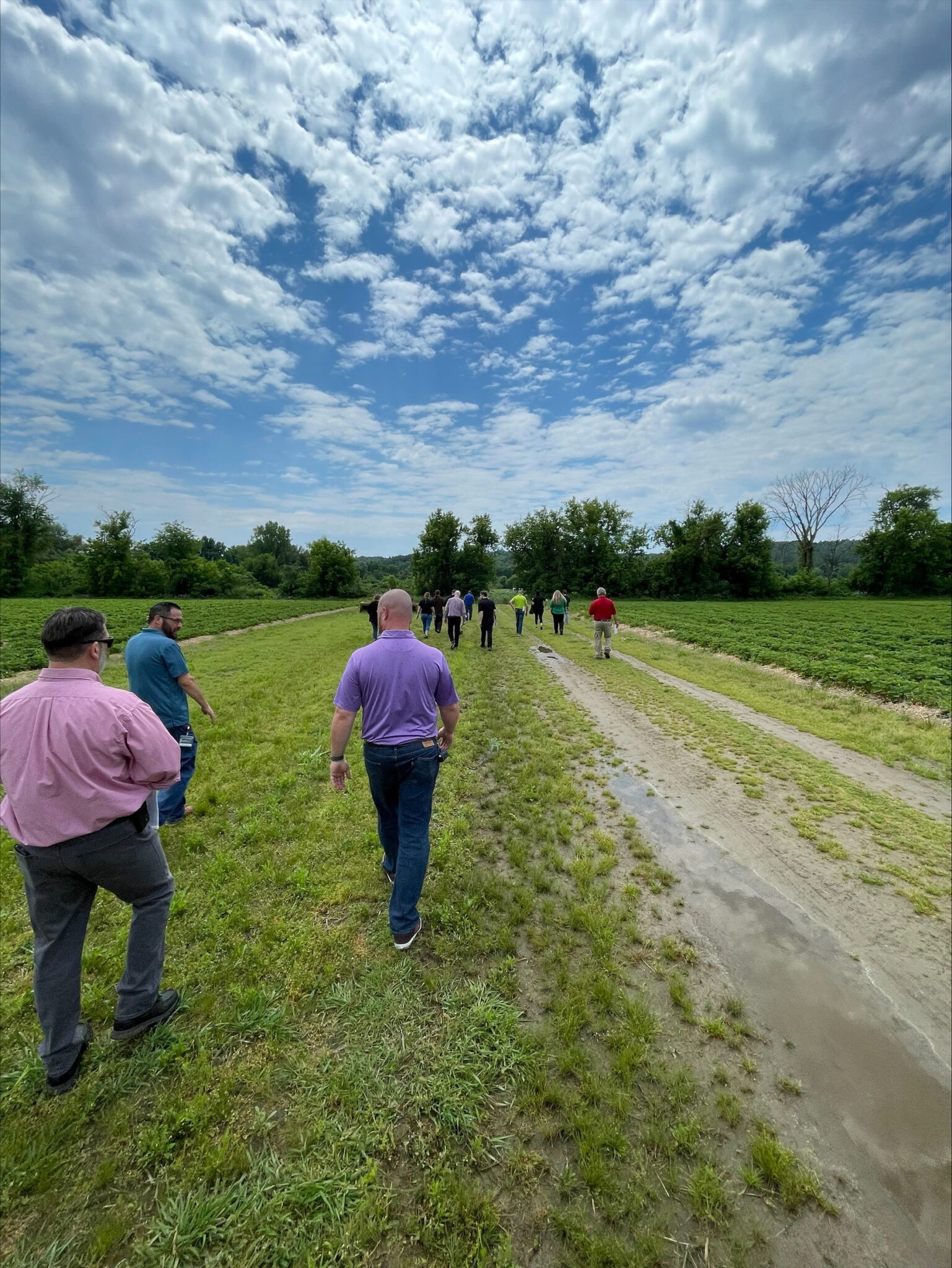 home.grown. Farm Feature: Paul Mazza's Fresh Produce - Price Chopper ...