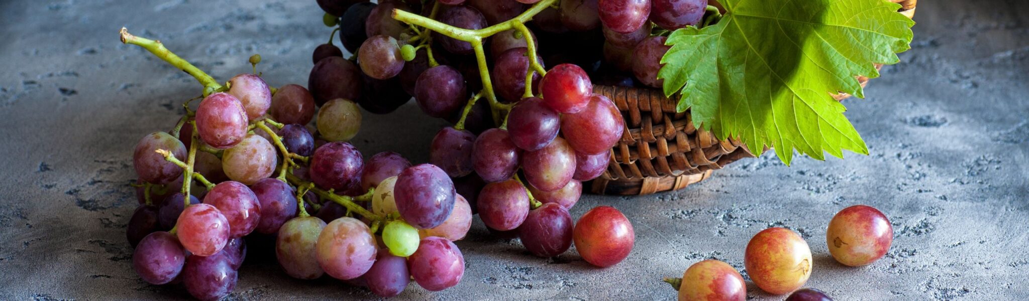 Everything you Need to Know About California Table Grapes - Price ...