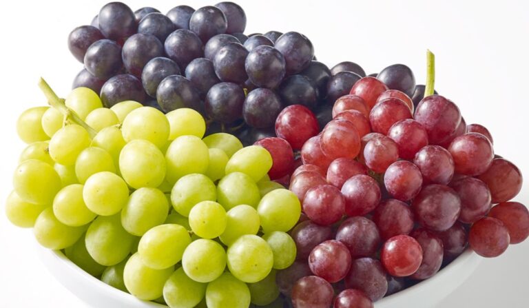 From Vine to Table: Celebrating the Season with California Grapes ...